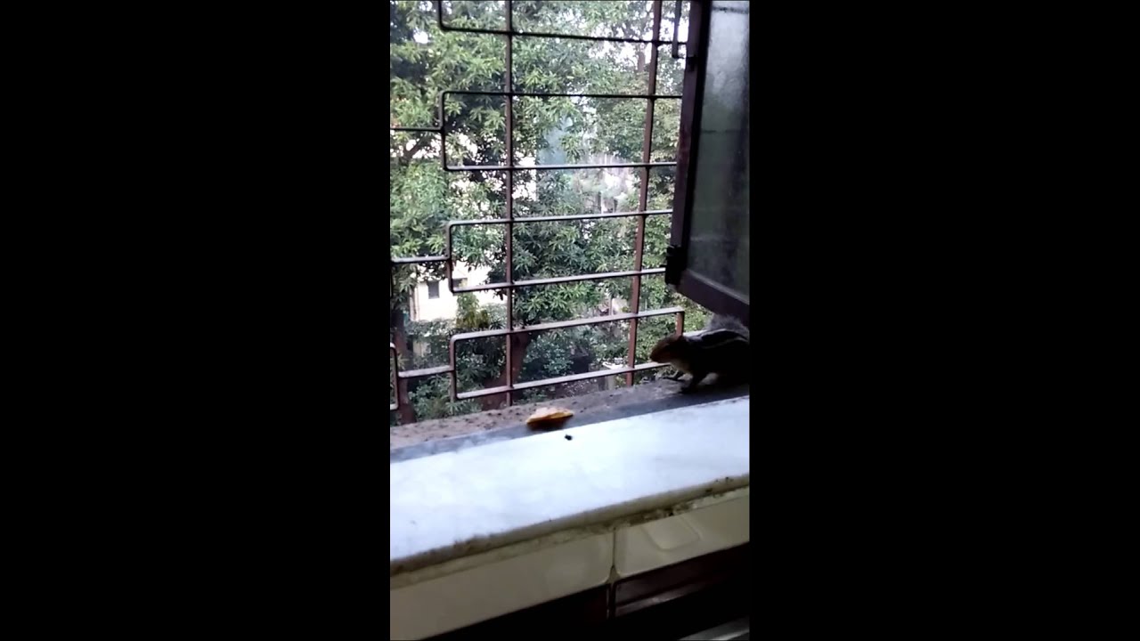 Kharutai 20141015 065028 - YouTube