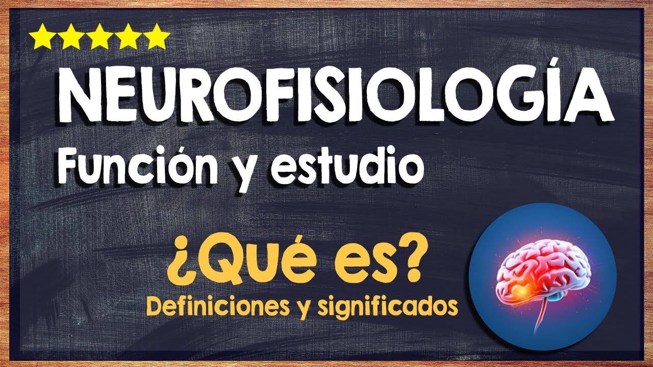 🙏 ¿Qué es la Neurofisiología? - Función y Estudio de la Neurofisiología ...