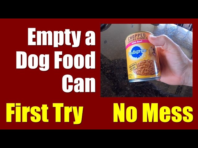 Empty Dog Food Can