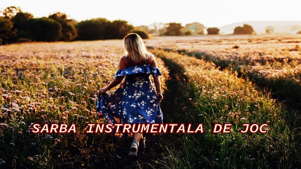 SARBA INSTRUMENTALA [36] | COLAJ SARBE DE JOC LA ORGA | SARBA 2023 ...