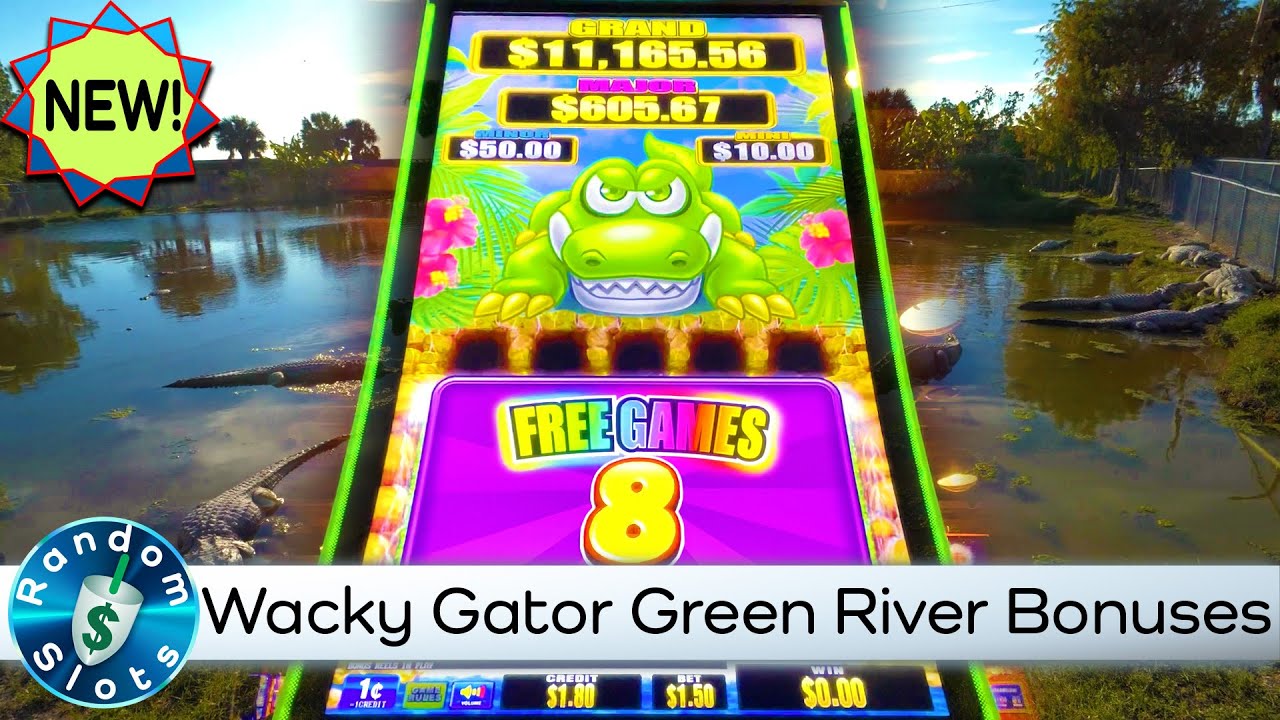 New⭐️Wacky Gator Green River Slot Machine Both Bonuses - YouTube
