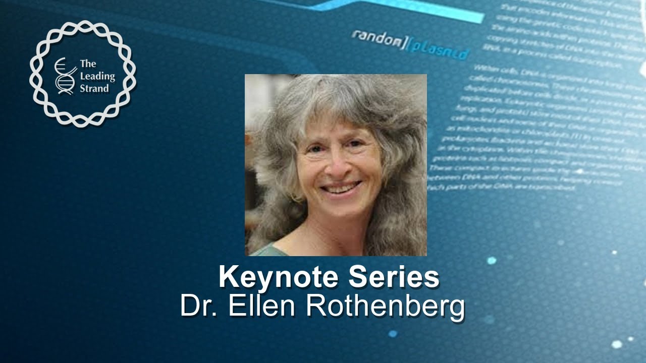 CSHL Keynote; Dr. Ellen Rothenberg, California Institute of Technology ...