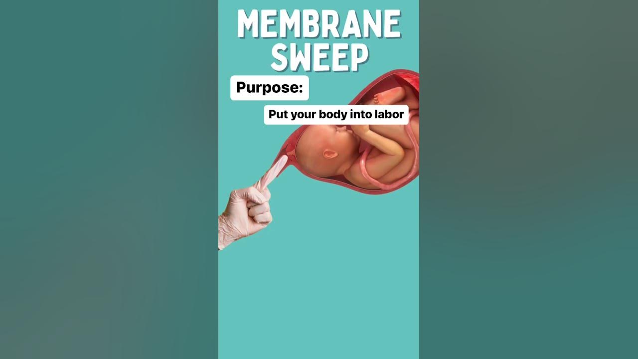 sweep-membranes-strip-membranes-laboranddelivery