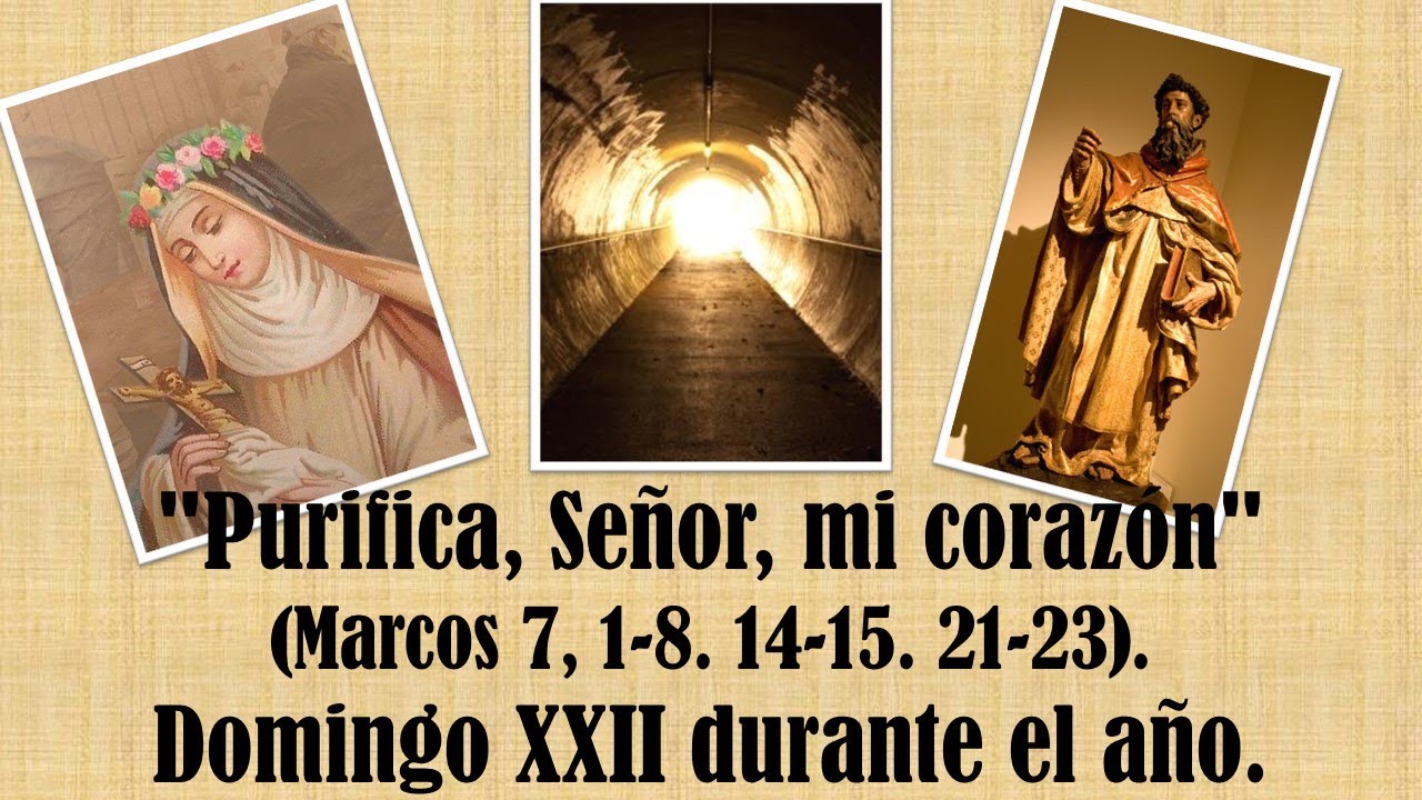 "Purifica, Señor, mi corazón" (Marcos 7, 1-8. 14-15. 21-23). Domingo ...