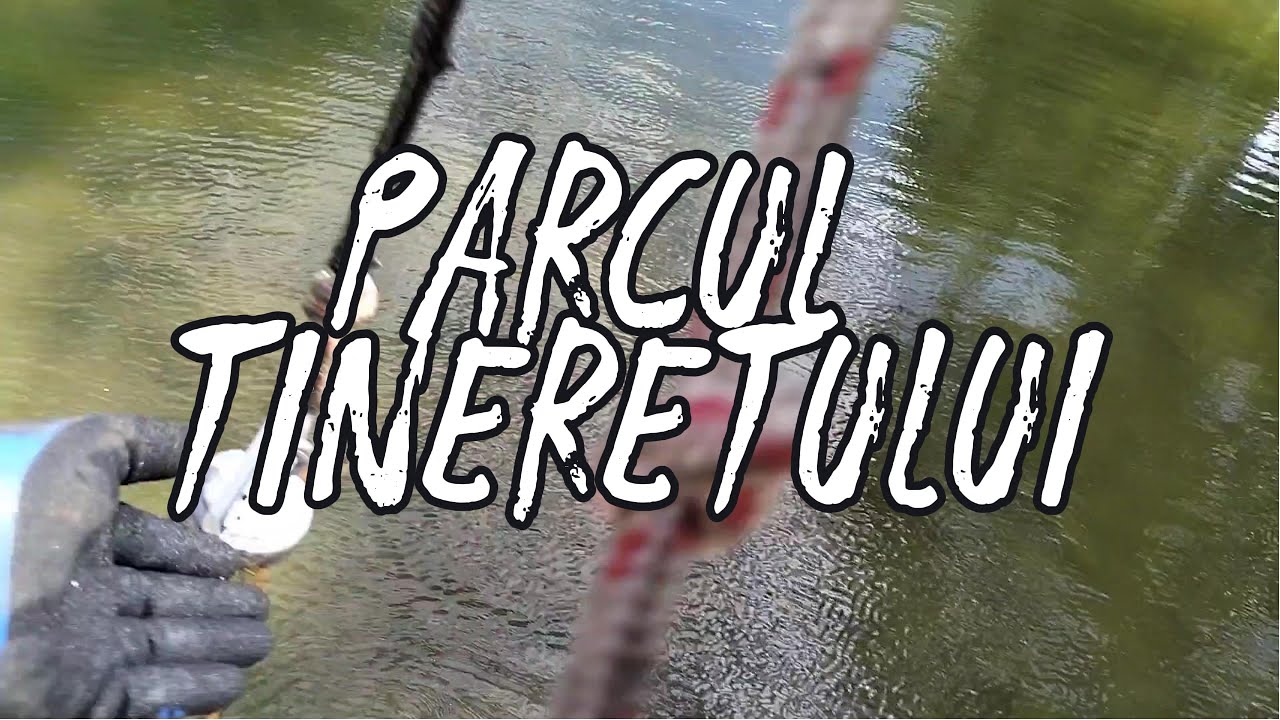 ‼️Am pescuit cu magnetul in parcul Tineretului #magnetfishing # ...