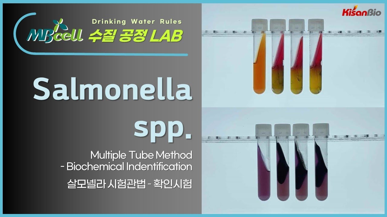 MBcell 먹는물수질공정시험기준 살모넬라 - 시험관법 확인시험 실험하기! (Salmonella spp. - Multiple ...