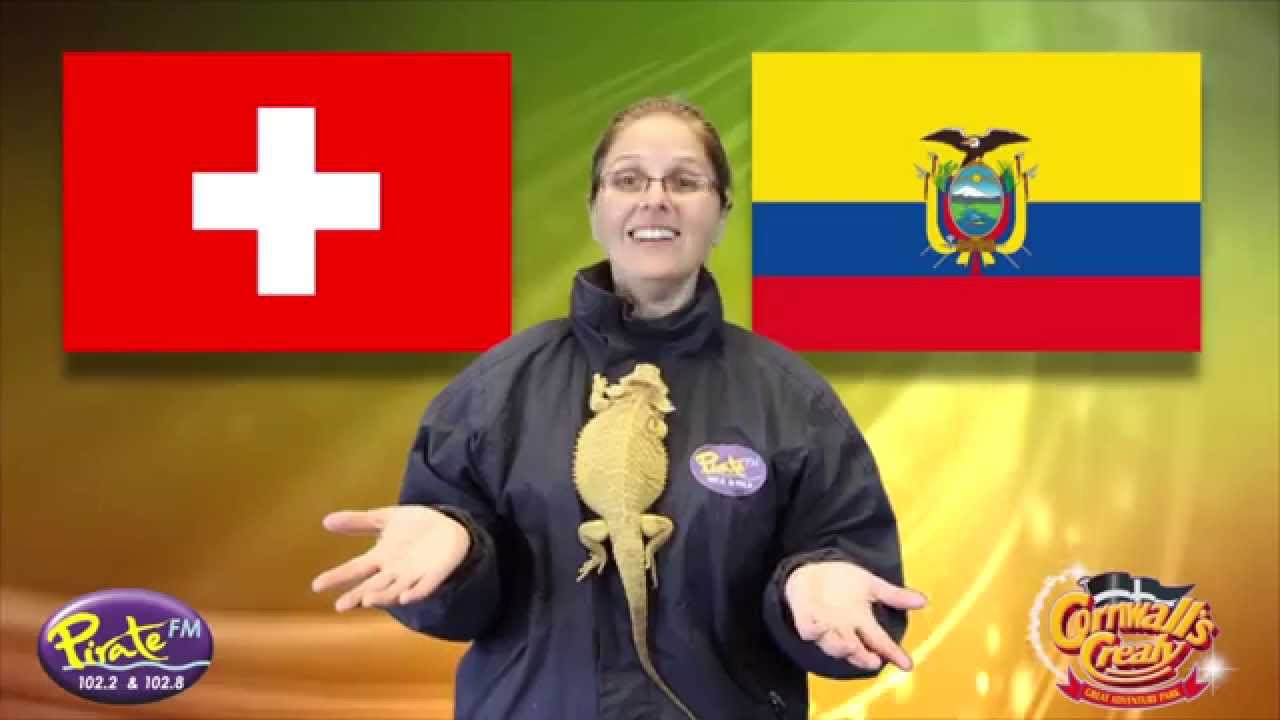Cornwall's Crealy and Pirate FM's Psychic Animals 2014 - Switzerland v ...