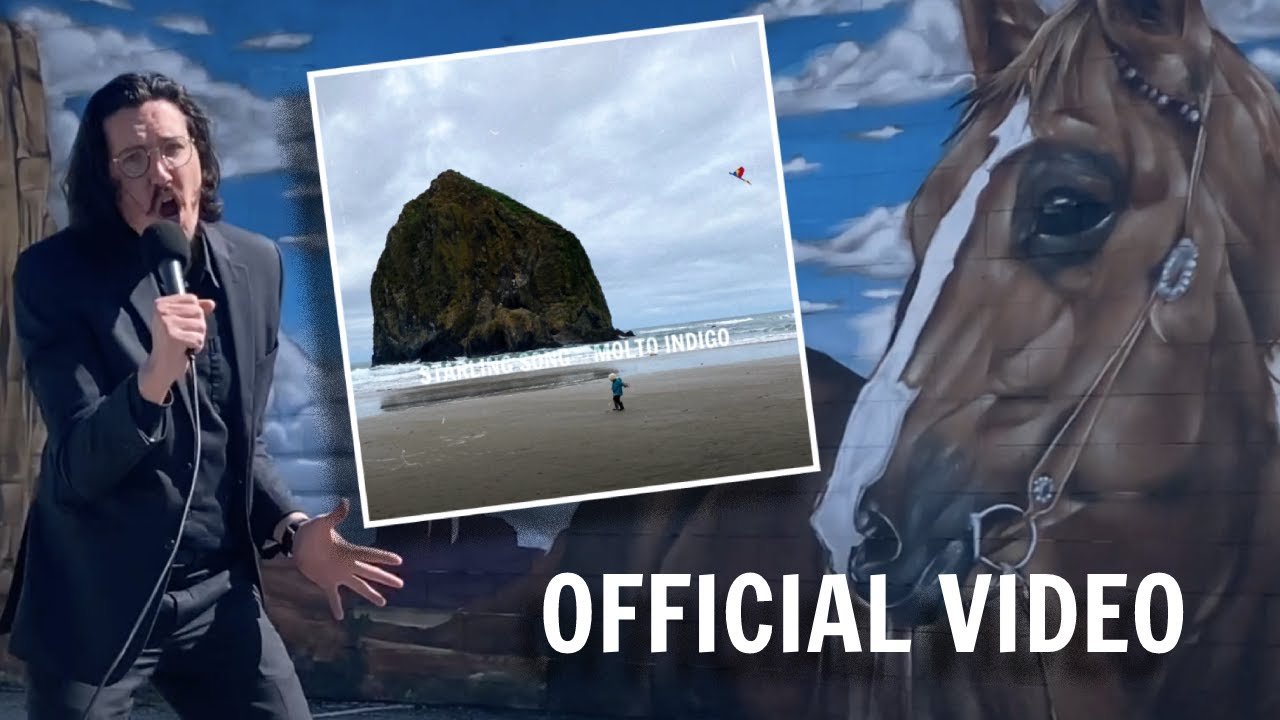 Molto Indigo - Starling Song (Official Video) - YouTube