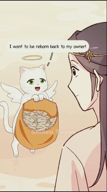 I'm Back #cat #animation #shorts - YouTube