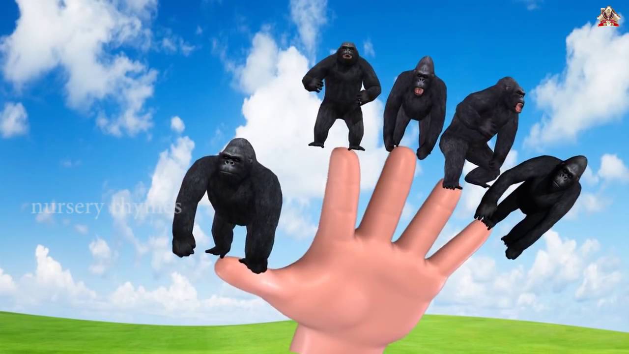 Finger Family || KING KONG V/S TIGER version || Nursery Rhymes and Baby ...