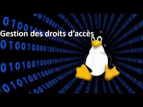 Gestion des droits d'accès dans Linux (chmod et umask) - LINUX [#13 ...