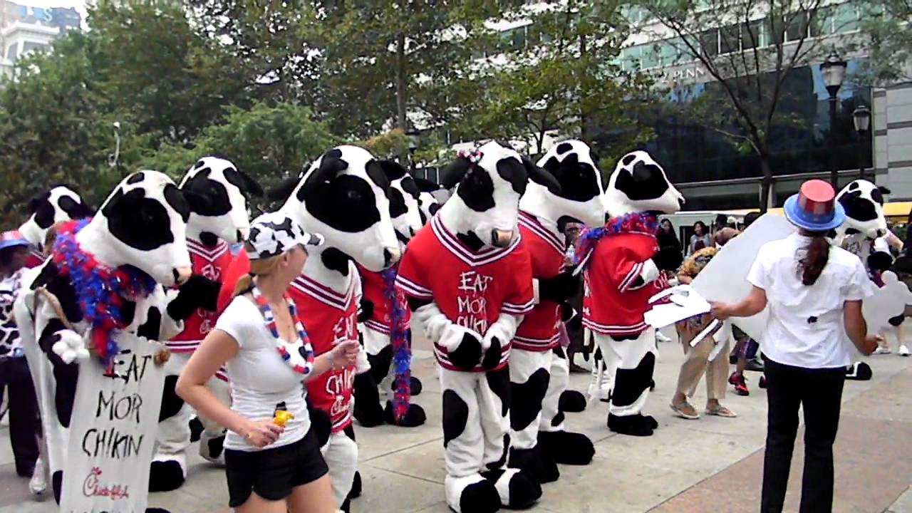 Elkton Chick-fil-A Cow & Other Area Cows Get Down in Philly - YouTube