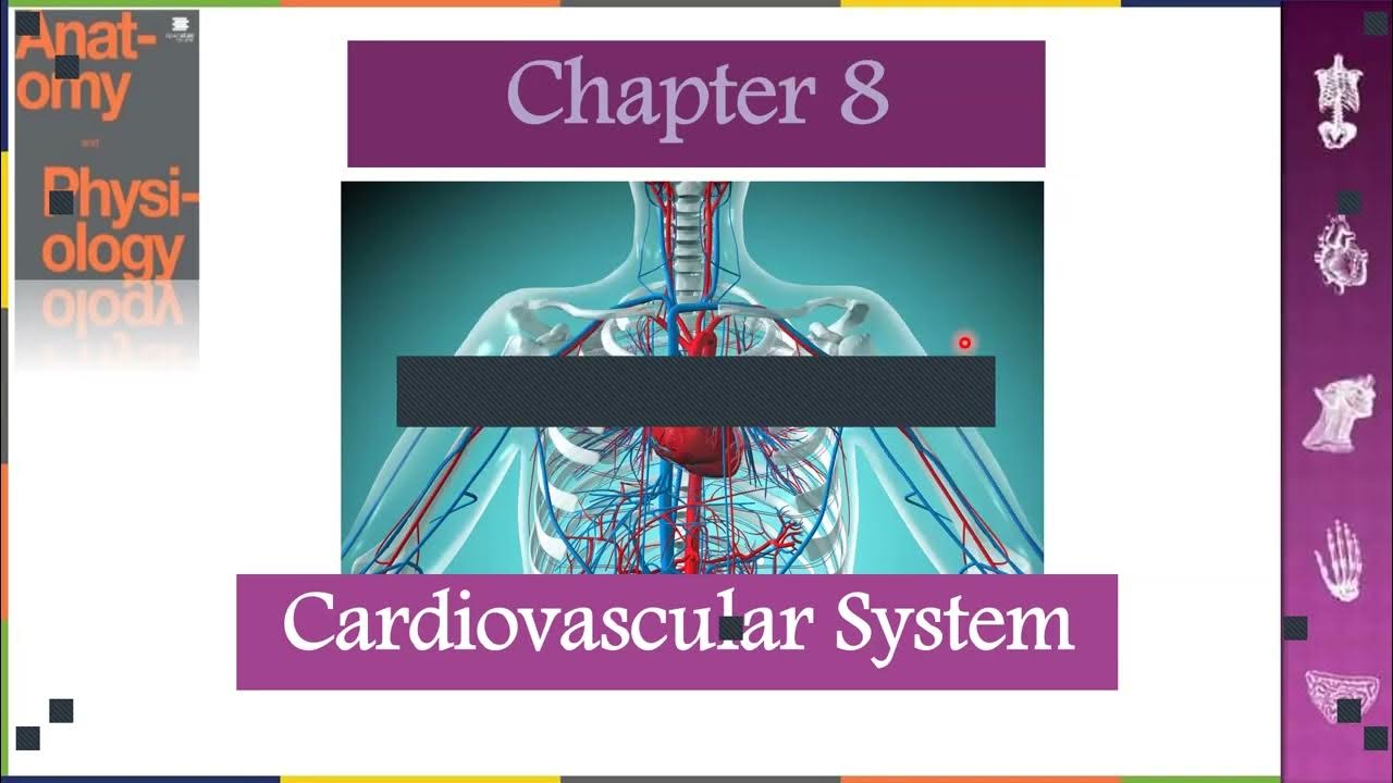 Chapter 8 - Part 1 - YouTube