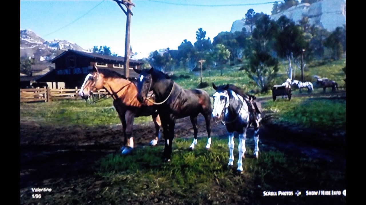 Red Dead Redemption 2 How Good Is Rachel Speed , Stamina Test And Sell ...