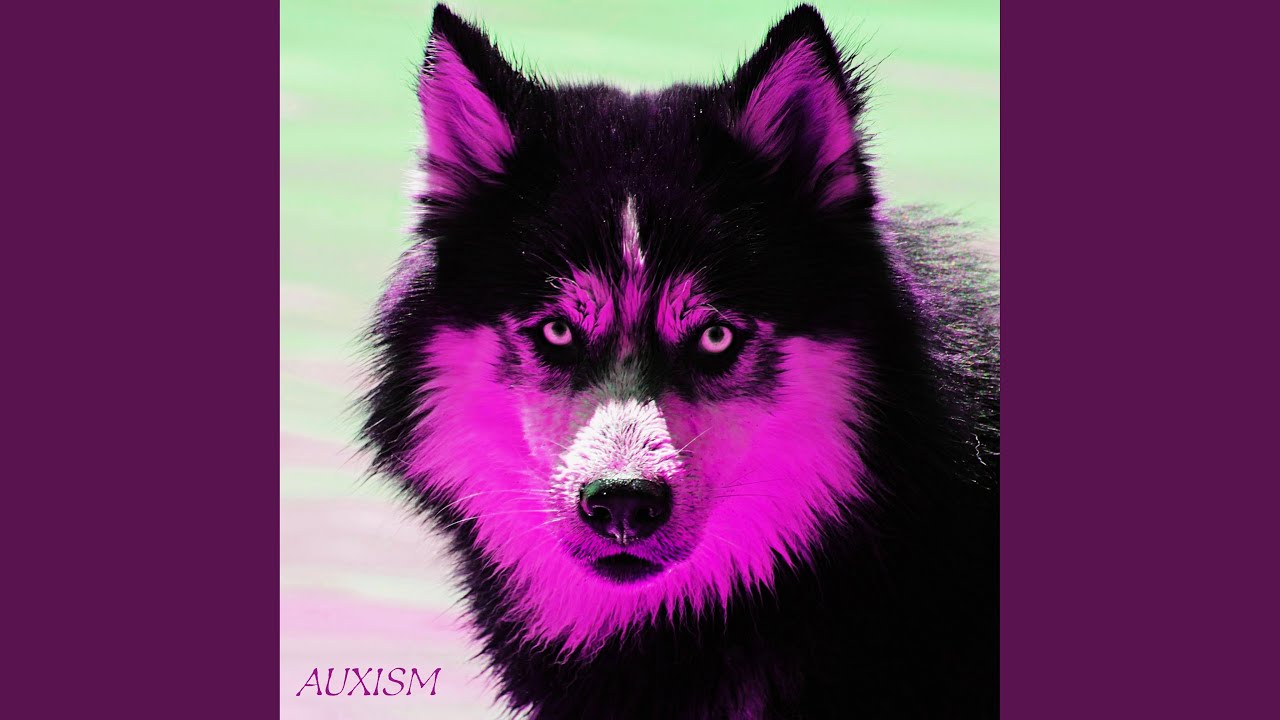 DOG PHONK (sped up) - YouTube