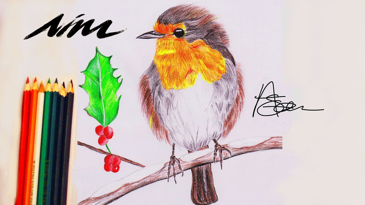 Robin Portrait (Using Coloured Pencils) Sketched By Taimmy Hango - YouTube