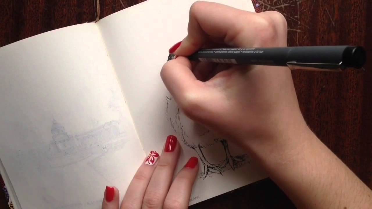 Chicken. Quick pen drawing - YouTube