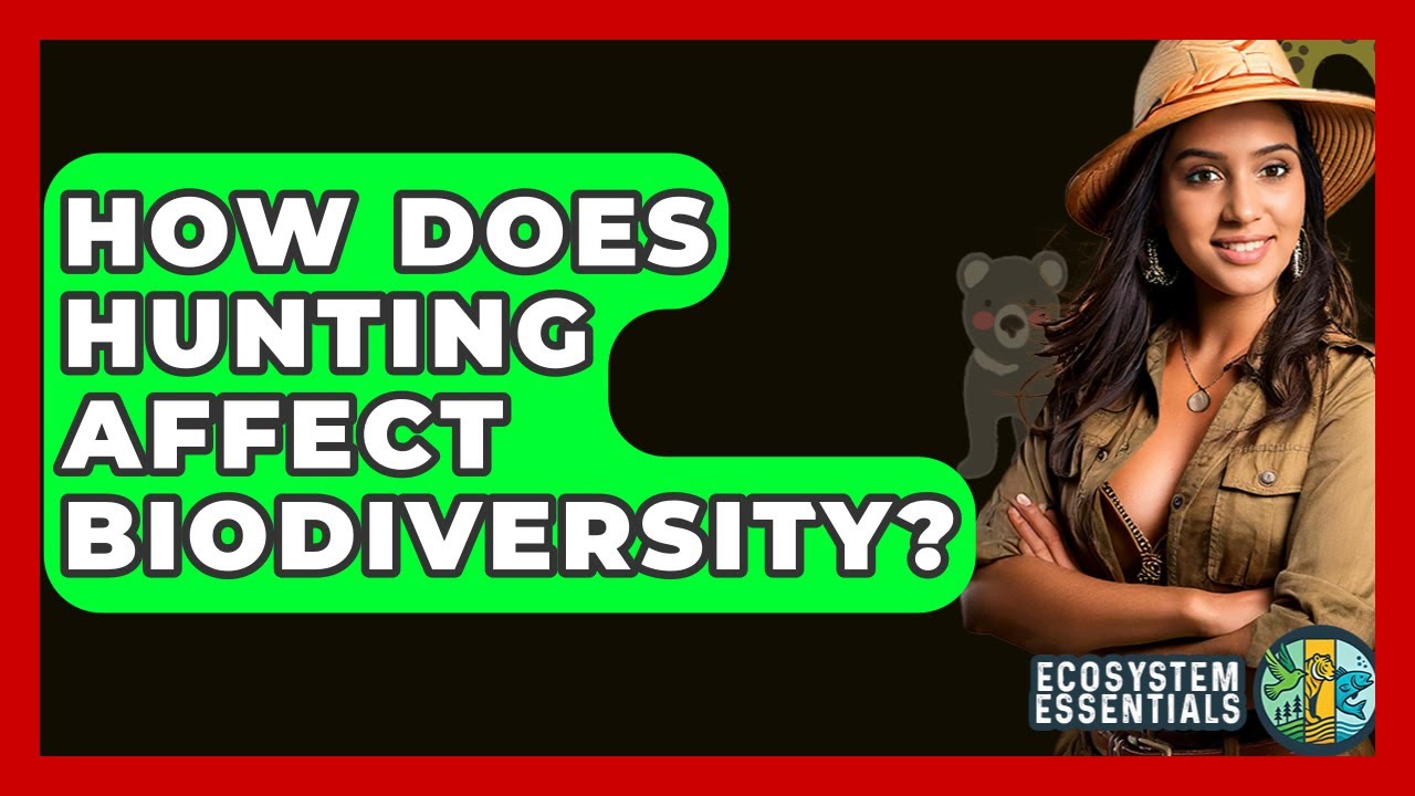 How Does Hunting Affect Biodiversity? - Ecosystem Essentials - YouTube