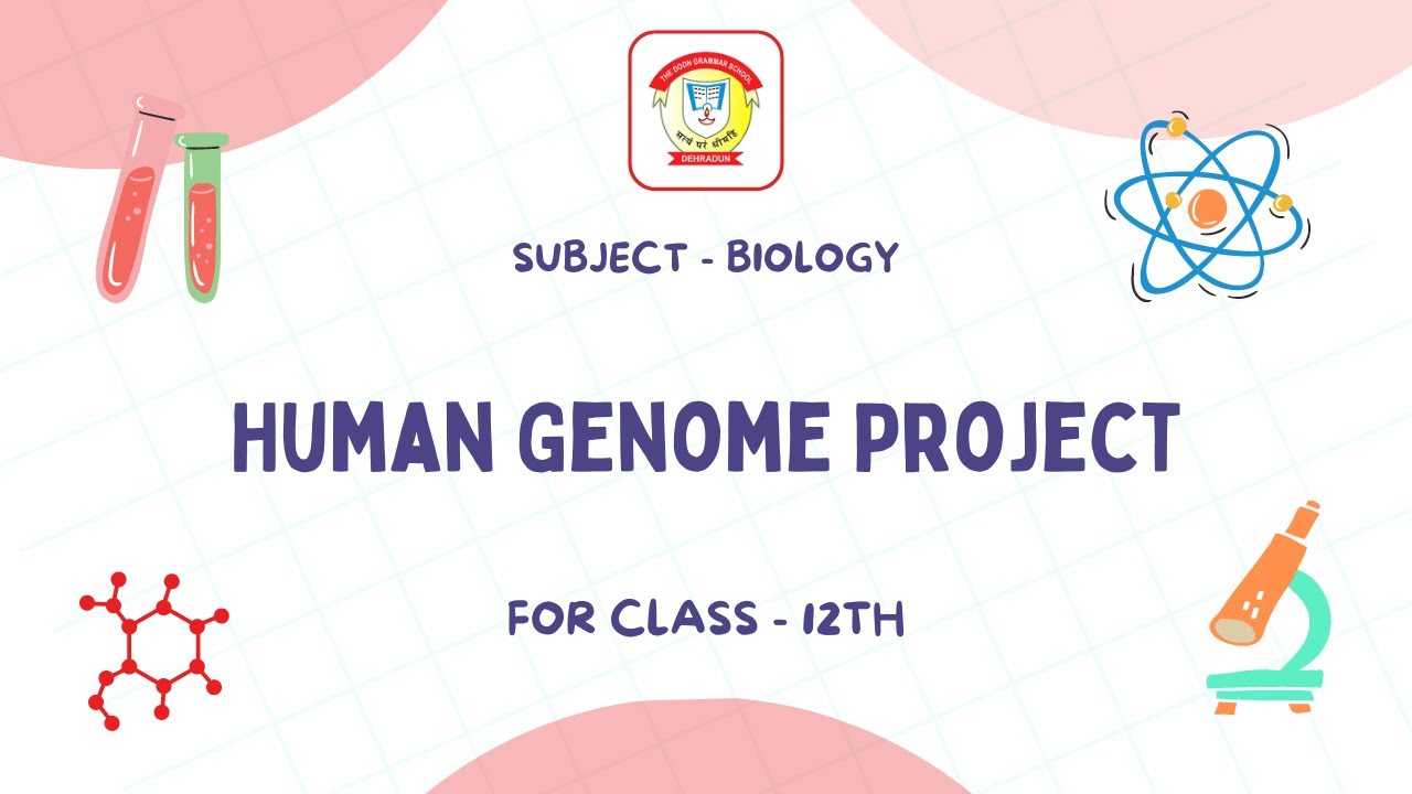 Human Genome Project | Class 12 Biology | The Doon Grammar School - YouTube