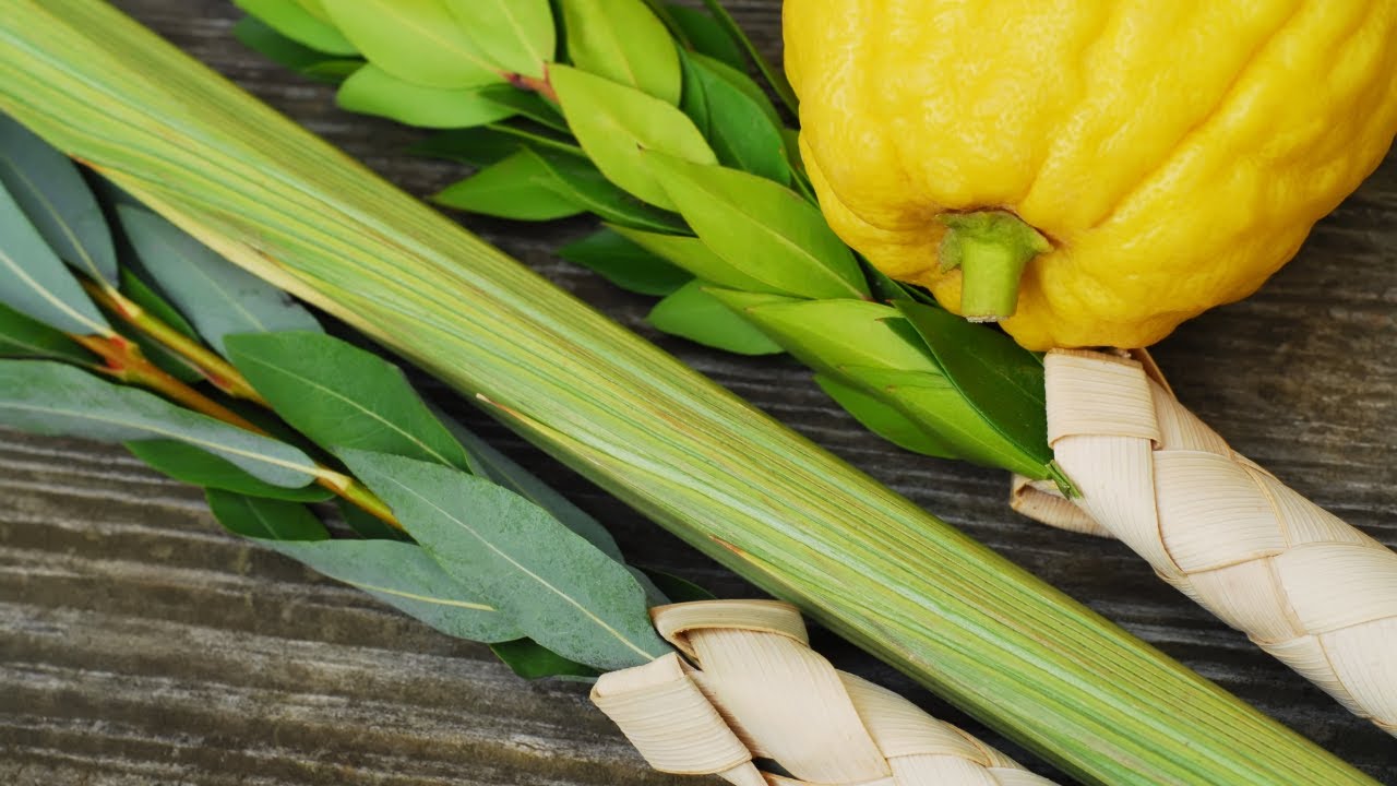 Temple Sinai -Sukkot Service 5785/2024 - YouTube