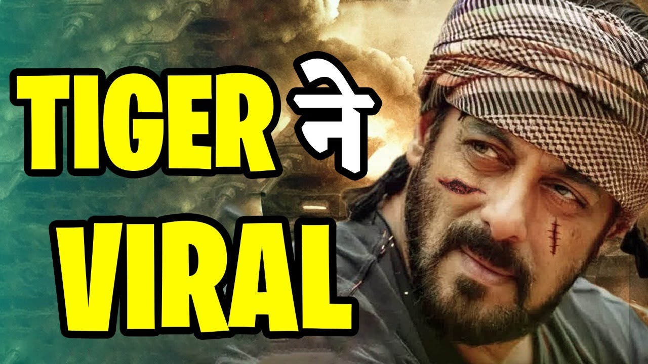 TIGER 3 | Tiger ne kya kiya viral | Salman Khan | Katrina Kaif | Emraan ...