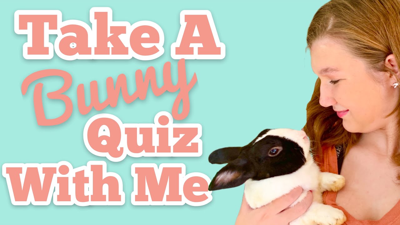 THE BUNNY QUIZ | Quizzing My Daughter Before She Gets A Bunny - YouTube