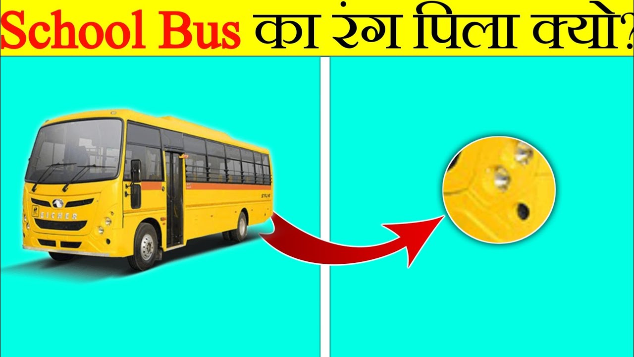 Why Colour Things Of School Bus | Fact Rule | Most Amazing Facts ...