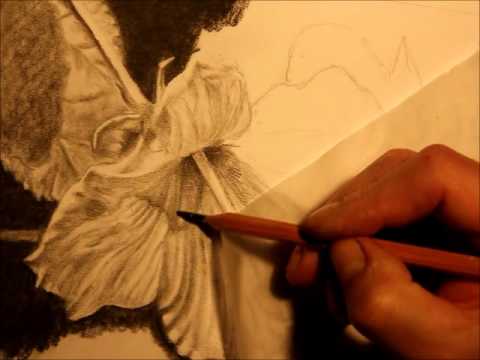 How to draw a flower, a speed video of the process. - YouTube