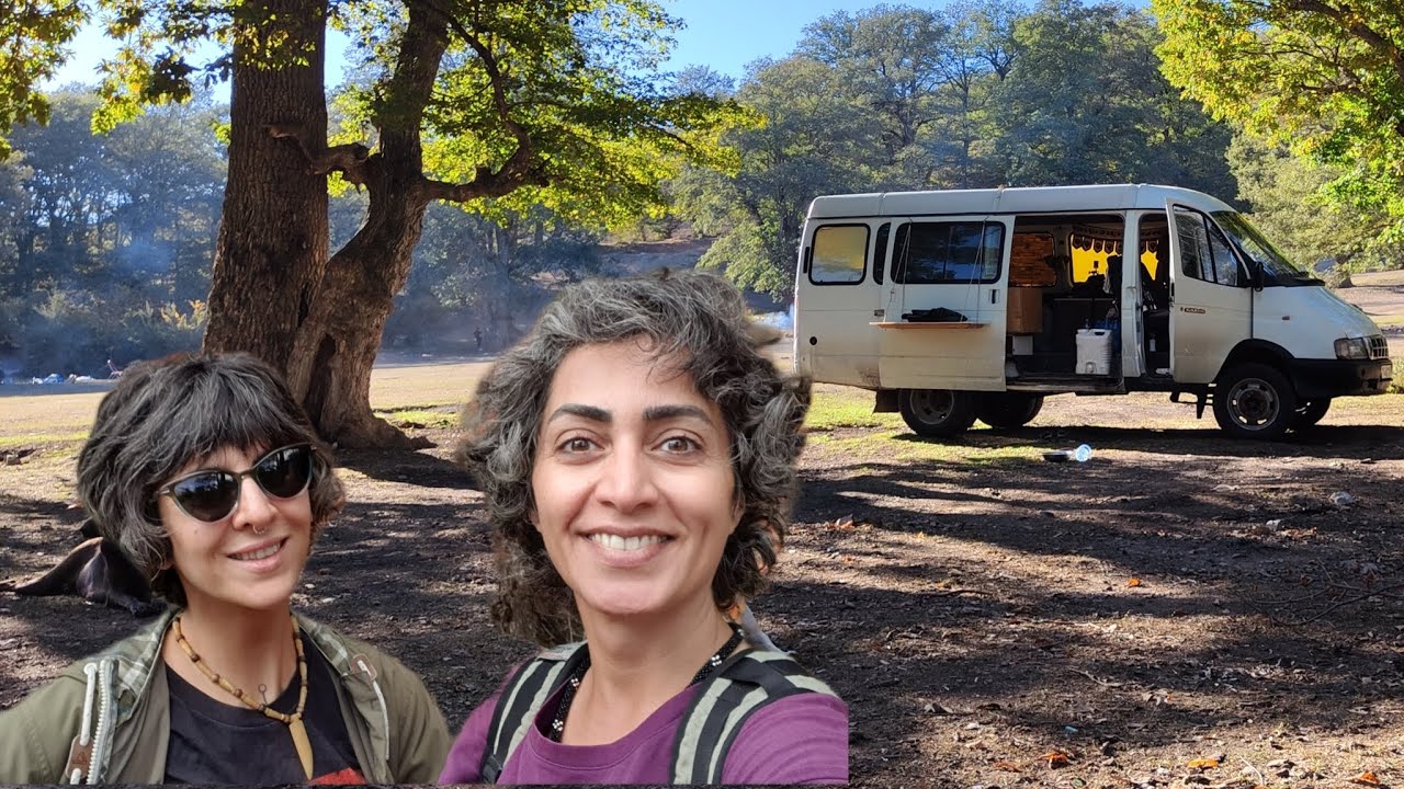 A guest in the van!! #solofemalevanlife #vanlife #vanlifewithdogs - YouTube