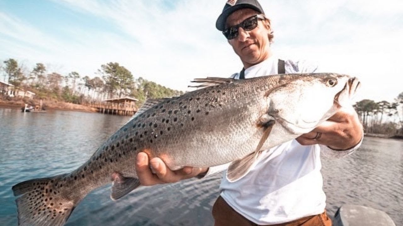 Fish on Every Cast! How To Catch Citation GAME FISH and the TOP ...