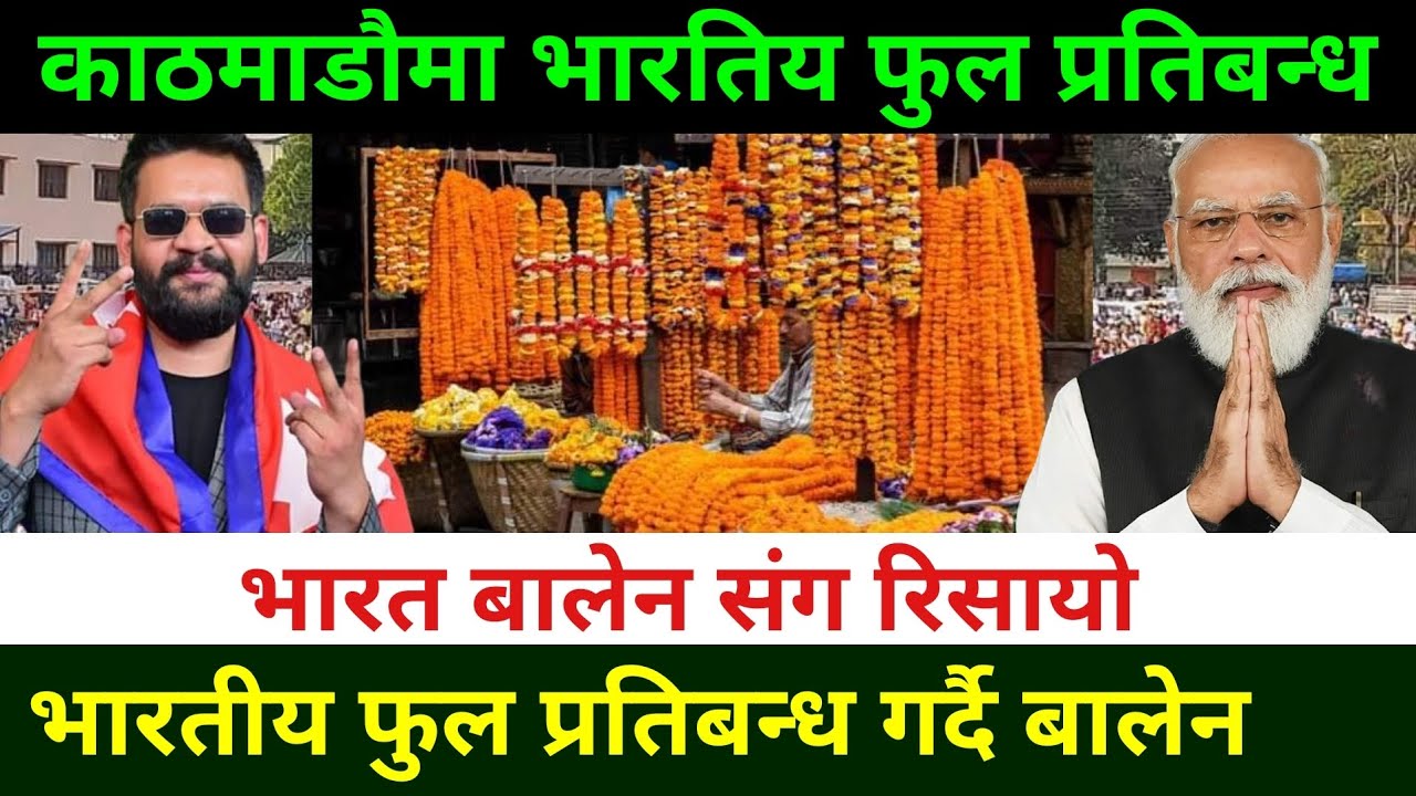 भारतीय फुल काठमाडौमा प्रतिबन्ध Balen Shah has banned Indian flowers in ...
