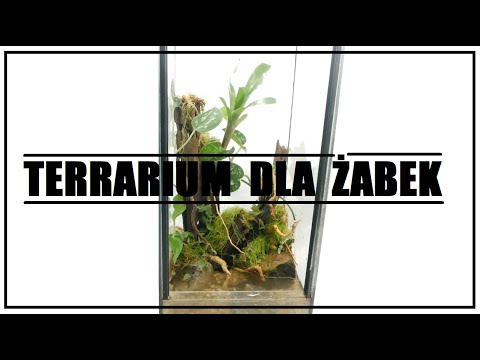 Terrarium dla małych żabek z Madagaskaru - Heterixalus alboguttatus ...