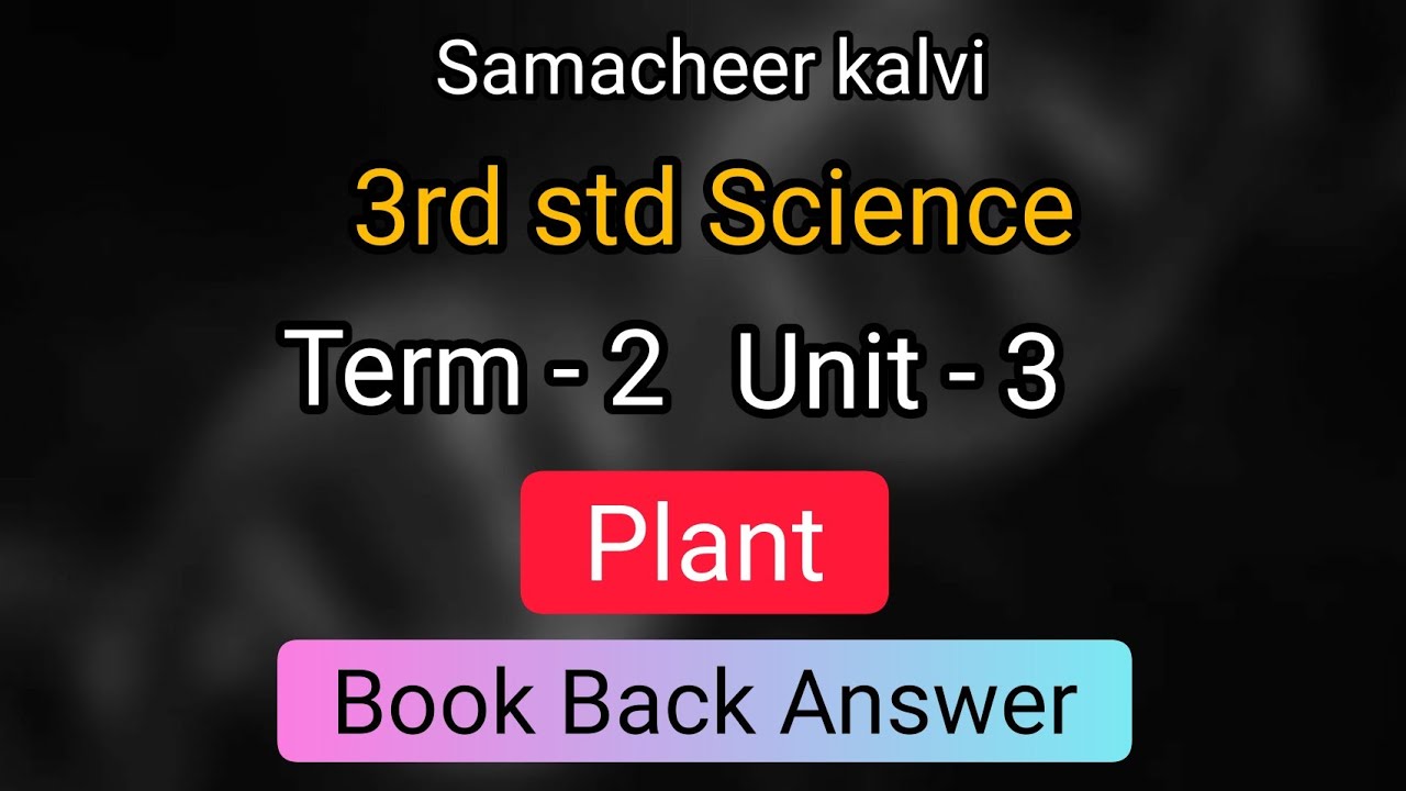 Plant Unit 3 Term 2 3rd Std Science Book Back Question Answer plant-unit-3-term-2-3rd-std-science-book-back-question-answer