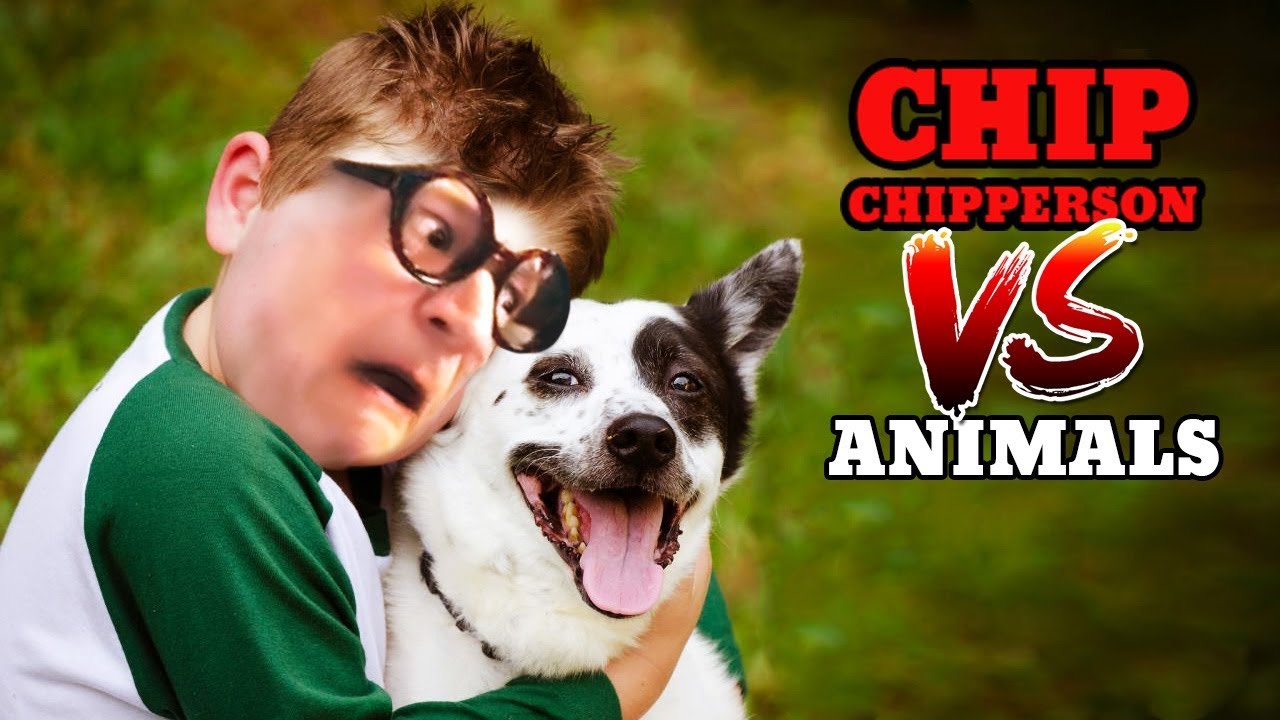 Chip vs Animals (Chippy’s Mittens, Mr Scraps, Oscar The Octopus, Lyle ...