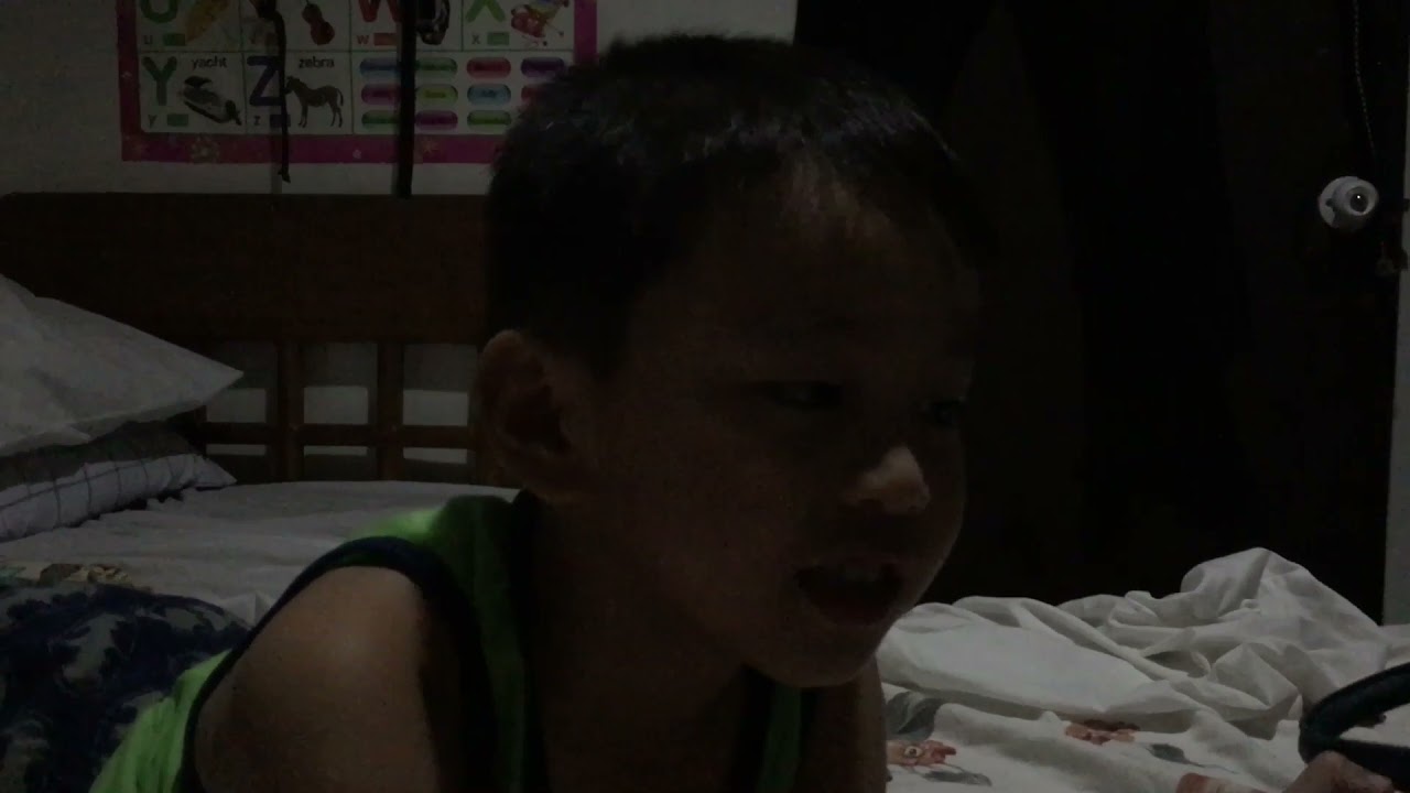 TARANTULA or CHARANCHULA? | Mommyland Journey - YouTube