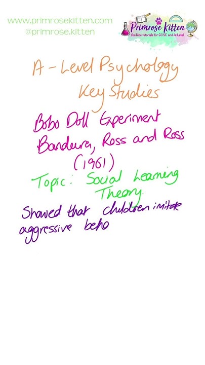 The Bobo Doll Experiment - key psychological studies - YouTube