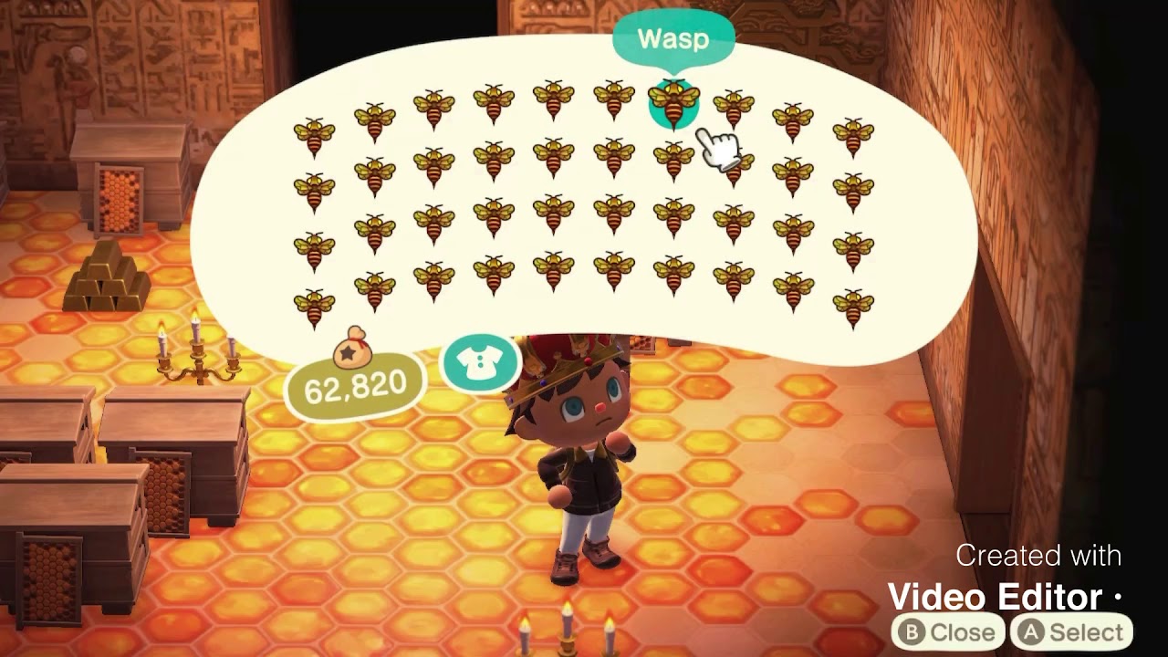 Wasp farm Animal Crossing New Horizons - YouTube