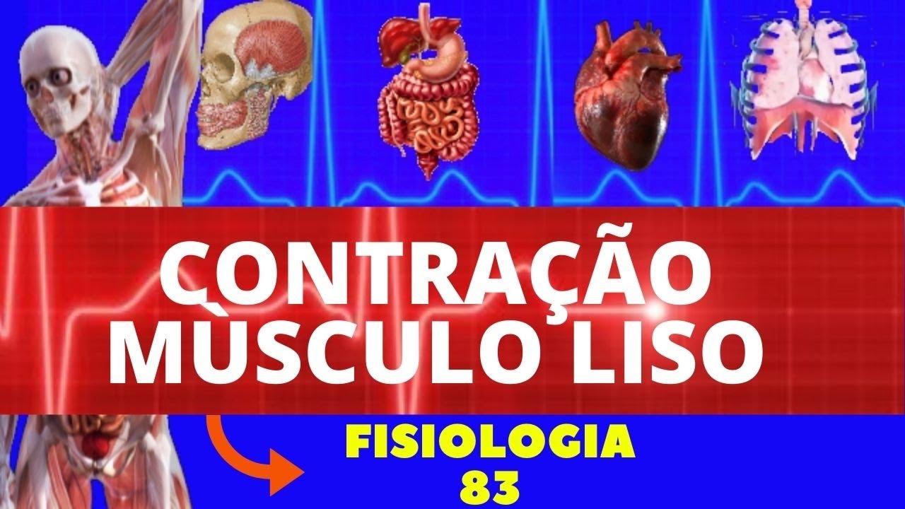 CONTRAÇÃO MUSCULAR (FISIOLOGIA DE GUYTON) - FISIOLOGIA DA CONTRAÇÃO ...
