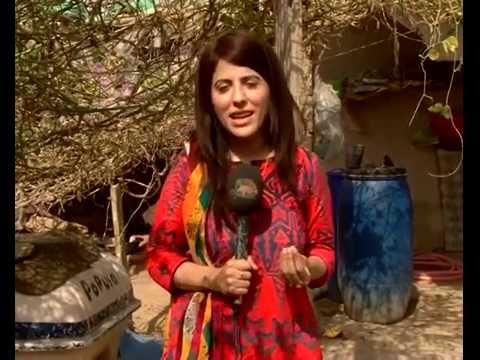 Meet Aqsa Junejo -- Broadcast Journalist from Pakistan. - YouTube