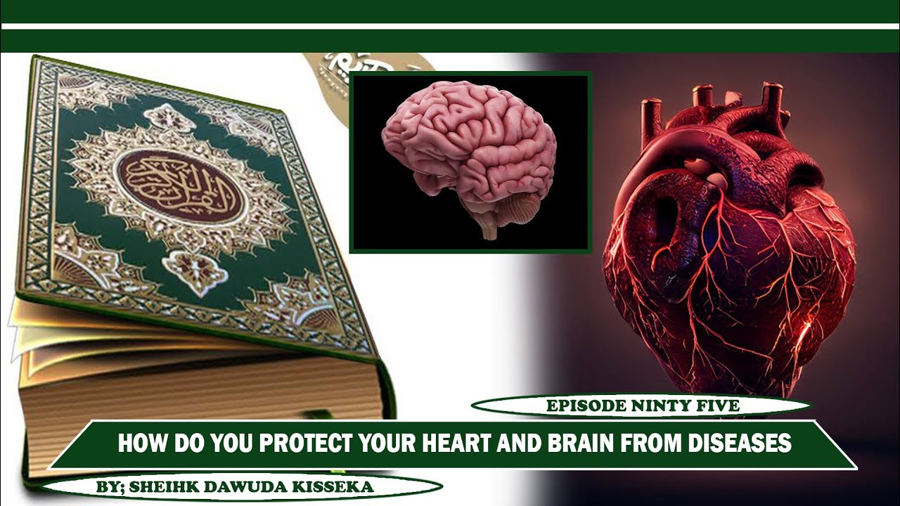 HOW DO YOU PROTECT YOUR ORGANS FROM DISEASES, FOLLOW THE DIVINE LAWS ...
