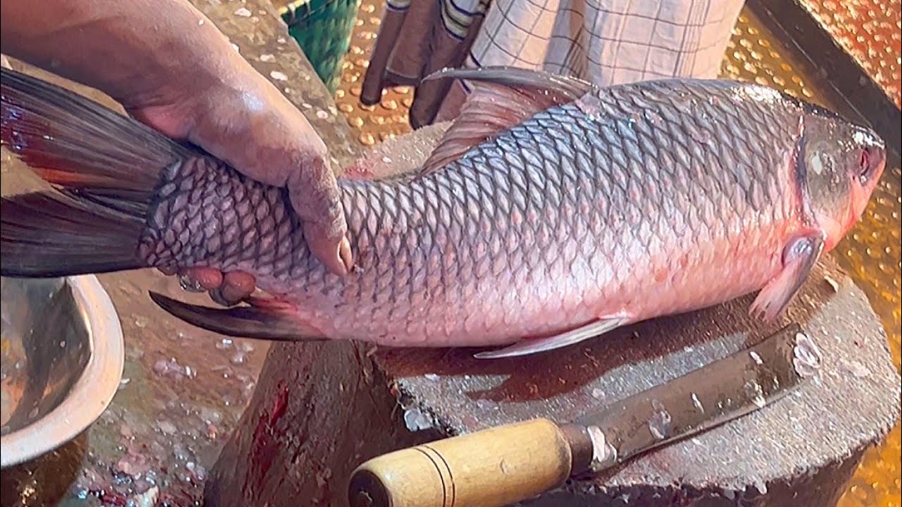 Fast Cutting Skill | Big ROHU FISH Cutting By Expert Fish Cutter ...
