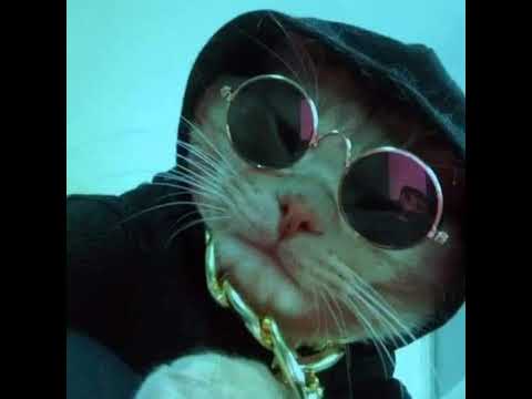 Transmisión en vivo de El Michi YouTuber - YouTube