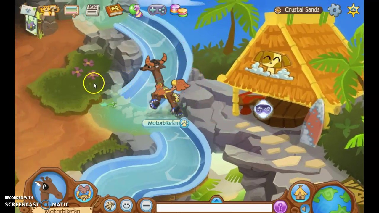 Animal Jam: Trying to find Fman - YouTube