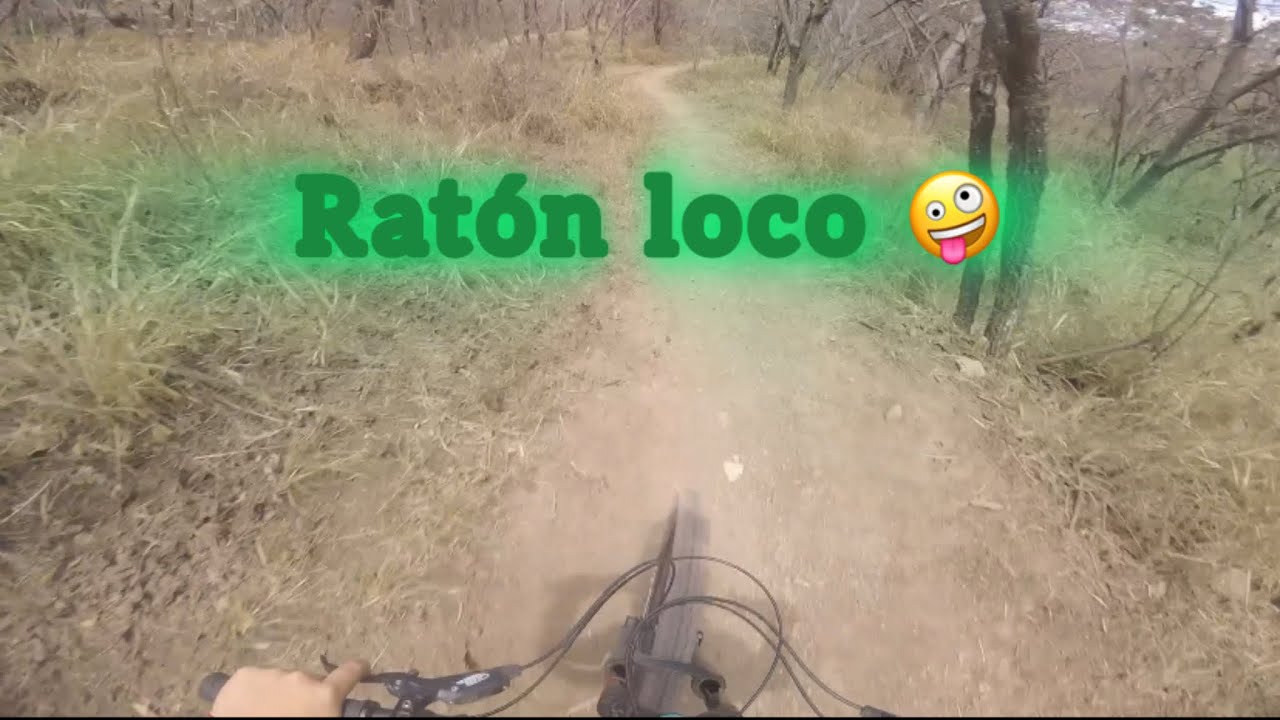 Ratón loco centinela - YouTube