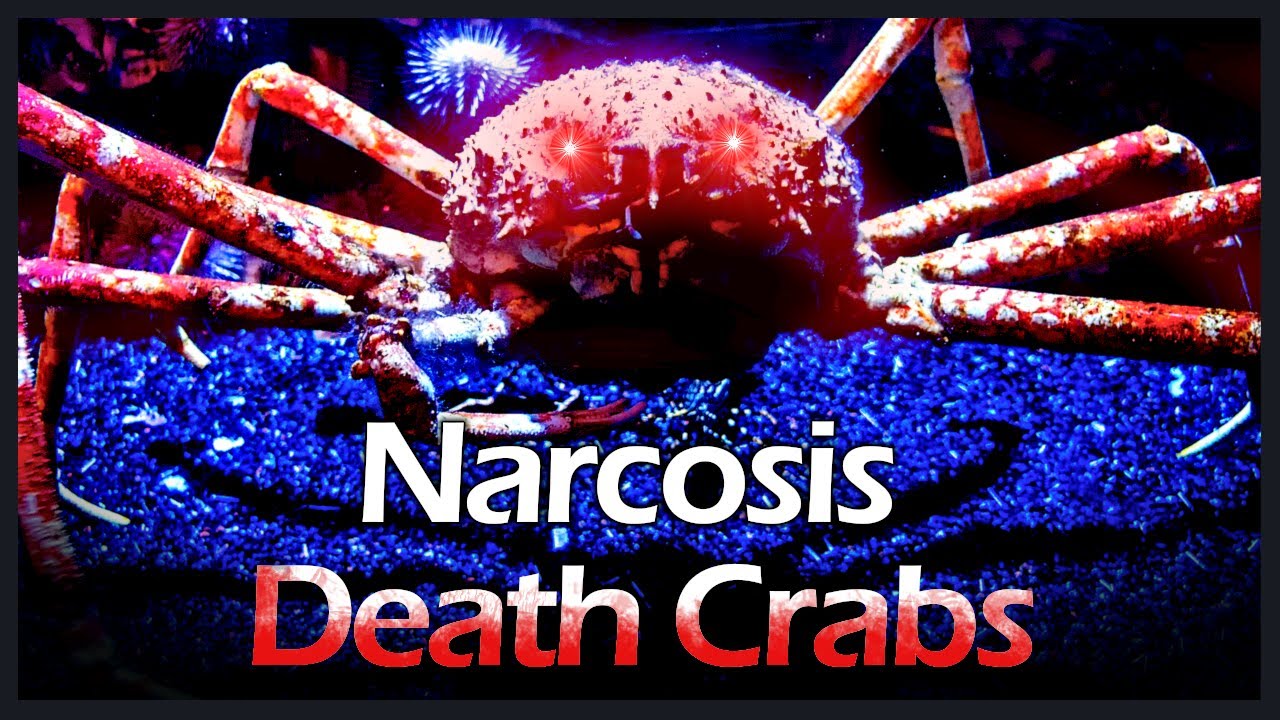 This Game Wants You To Think Crabs Can Break Titanium - YouTube