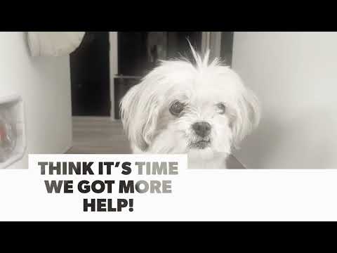 Miley Finding Gary - YouTube