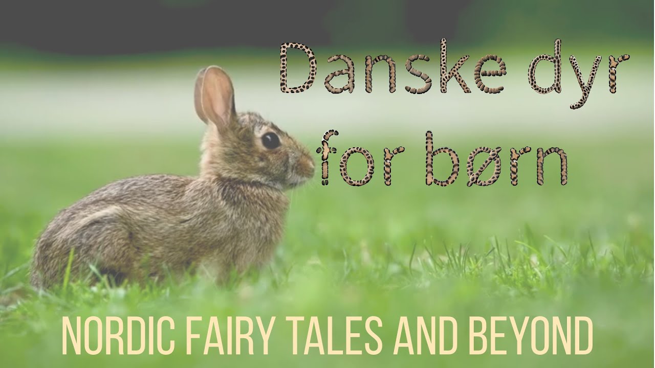 Danske dyr i skoven - Nordic Fairy Tales and Beyond - YouTube
