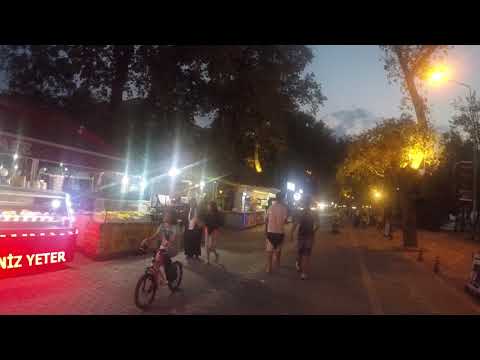 YALOVA SAHIL AKSAM YÜRÜYÜSÜ