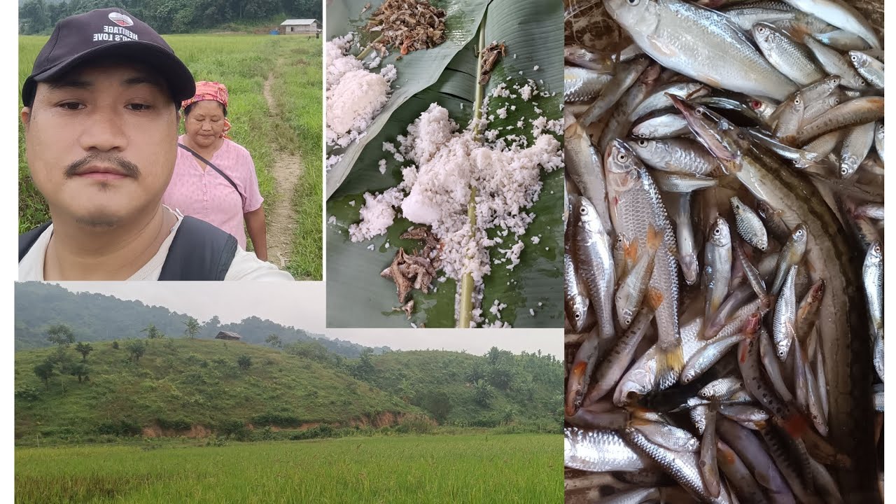 Fishing day out with family in friends# changki valley#memoryries 🏞️🐟🦐🐟 ...
