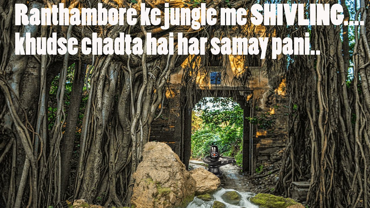 Amareshwar Mahadev Temple: A Sacred Temple Amidst Ranthambore's ...